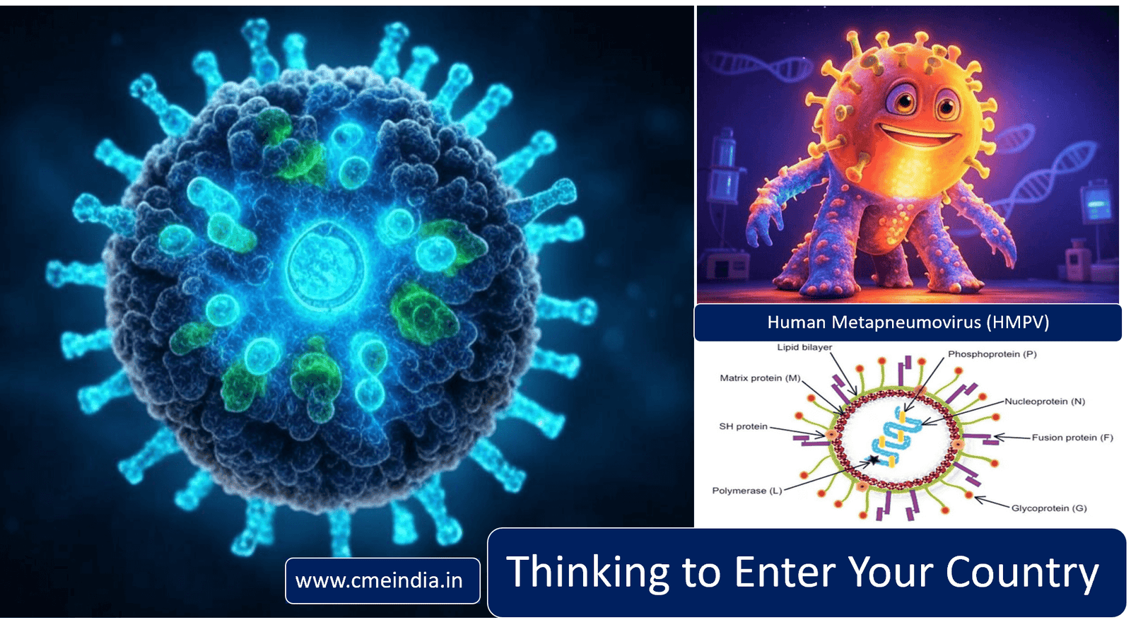 What physicians must know about Human Metapneumovirus (HMPV) in India ...